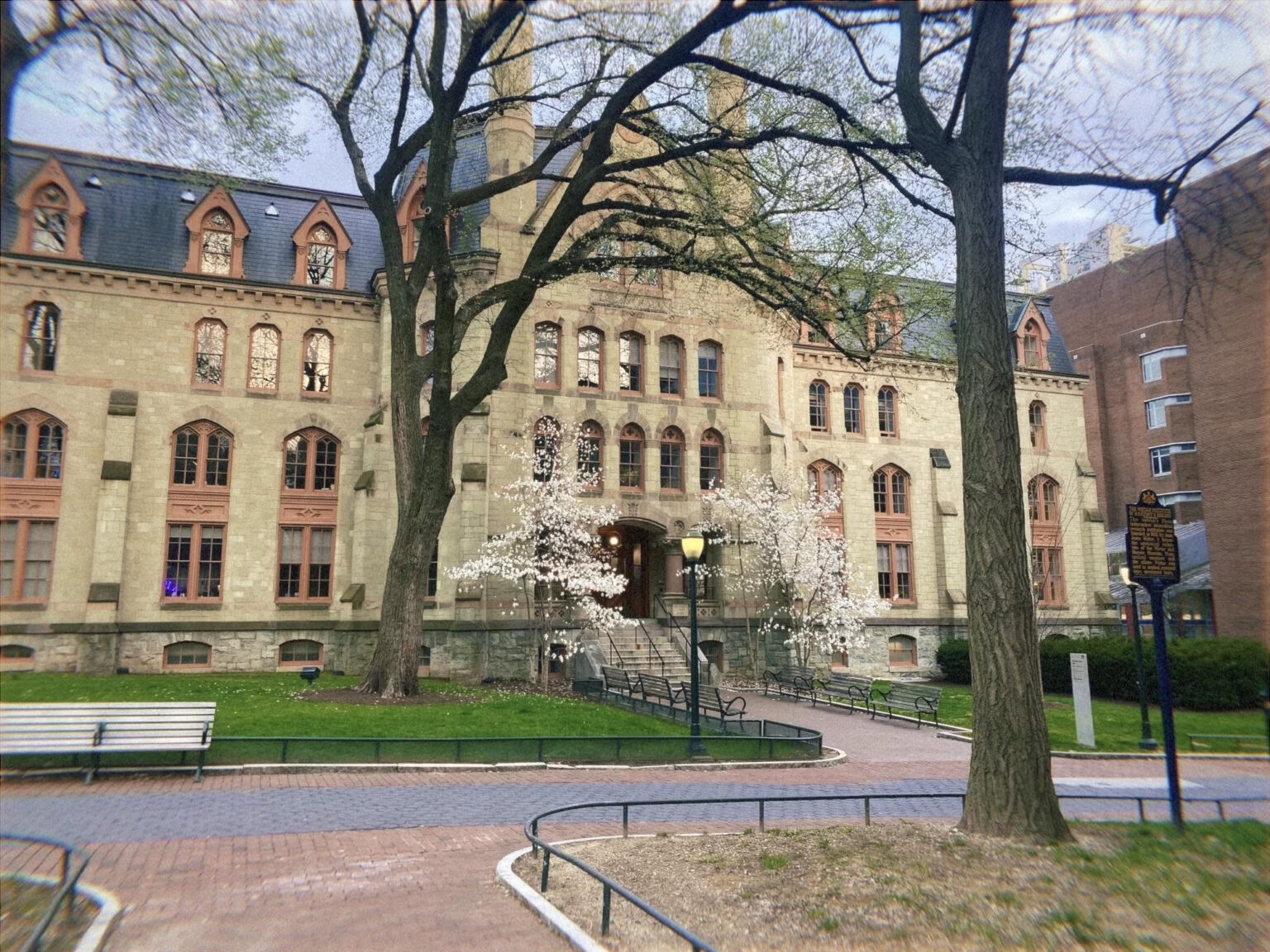 Nicolas Casey | The Leader of the Leetcode Rebellion: An interview with ...